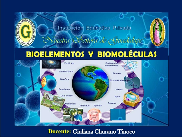 9. BIOELEMENTOS